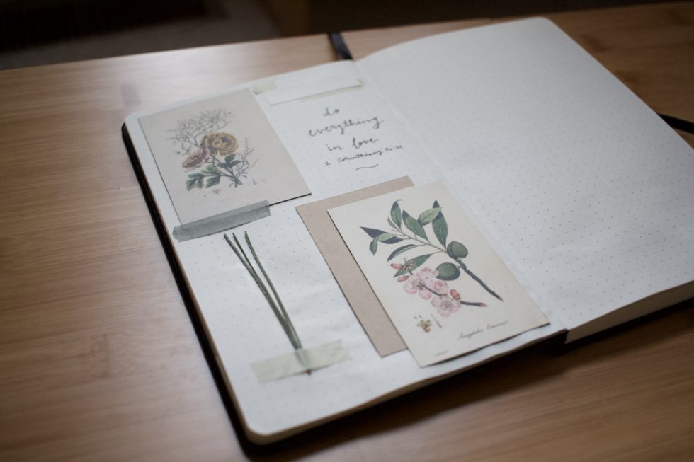 Journaling, los beneficios de escribir en tu diario - Orden Studio